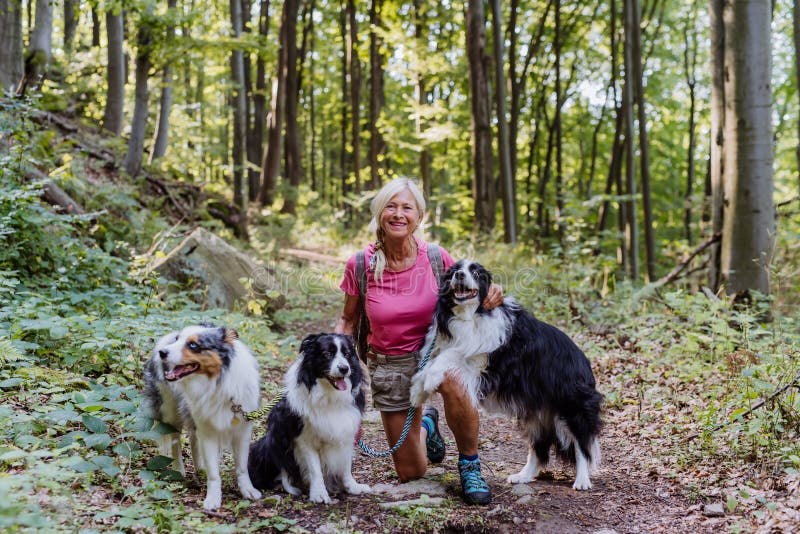Senior Woman Walking with Her Three Dogs in Forest. Stock Image - Image ...