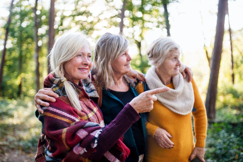 Senior Women Friends Walking Outdoors in Forest, Talking. Stock Photo ...