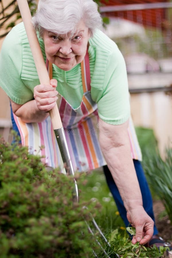 Senior at Work in the Garden Stock Image - Image of gardening, healthy ...