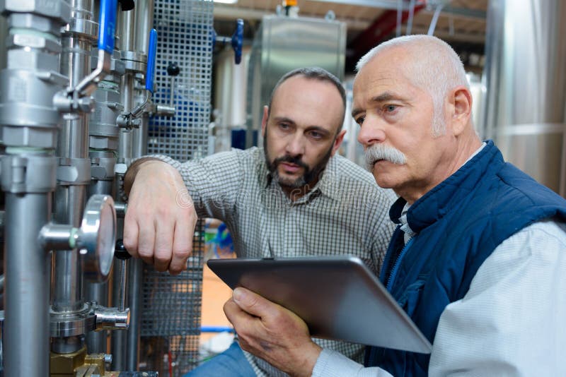 Senior Worker and Manager Examining Quality Beer Stock Photo - Image of ...