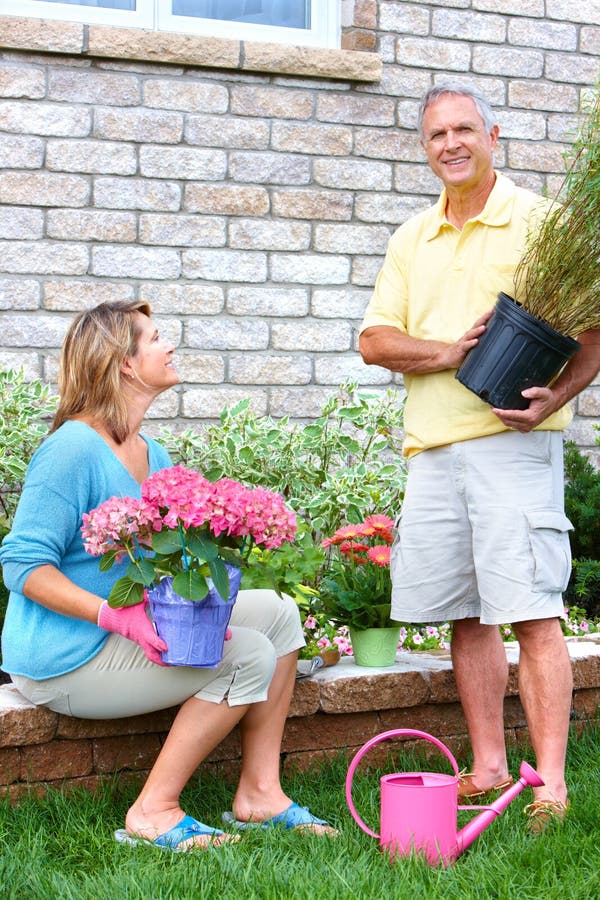 Seniors gardening stock image. Image of elderly, retirement - 18567339