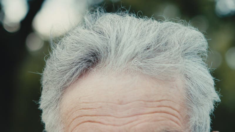 Seniors Portrait of Contemplative Old Caucasian Man. Close Up Stock ... Seniors Portrait of Contemplative Old Caucasian Man. Close Up Stock ...