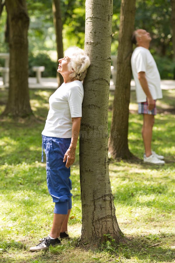 Seniors Relaxing beside Trees Stock Photo - Image of sport, elderly ...