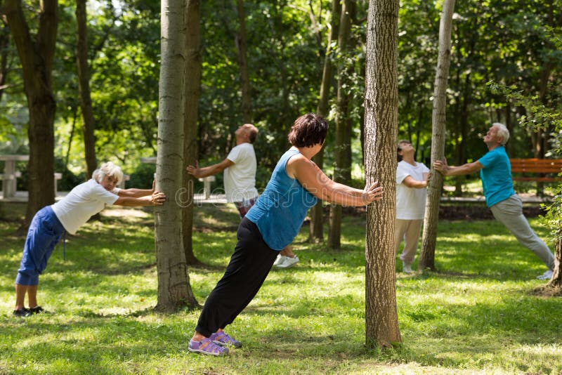 Seniors Working Out beside Trees Stock Image - Image of green, exercise ...