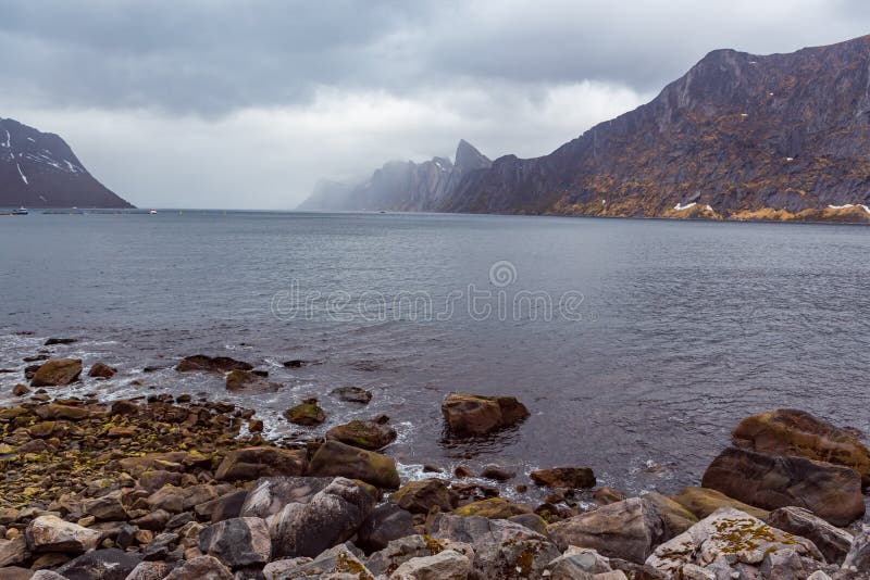 The Senja Island in Norway stock photo. Image of spring - 173139456