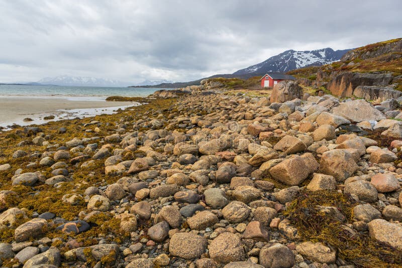 The Senja Island in Norway stock image. Image of port - 182170475