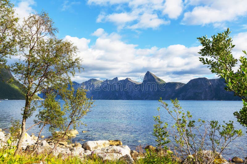 Senja stock photo. Image of beautiful, rugged, northern - 54187692
