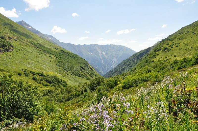 1,602,395 Senke Fotos - Kostenlose und Royalty-Free Stock-Fotos von ...