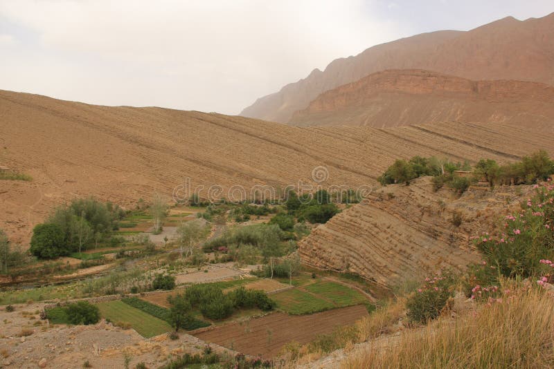 1,602,395 Senke Fotos - Kostenlose und Royalty-Free Stock-Fotos von ...