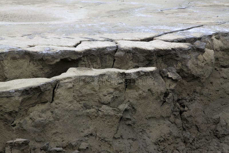 Senkung gerieben im wilden stockbild. Bild von braun - 33917901