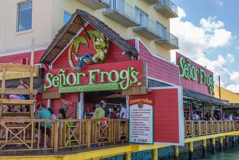 Senor Frogs Cancun 2000 Senor Frog Stock Photos Free & Royalty Free