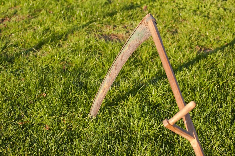 Sense im Gras stockbild. Bild von gras, sense - 17166423