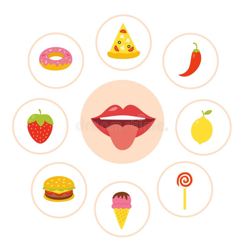 Sense Organs Poster. Vector Illustration. Sense of Taste. Stock Vector ...