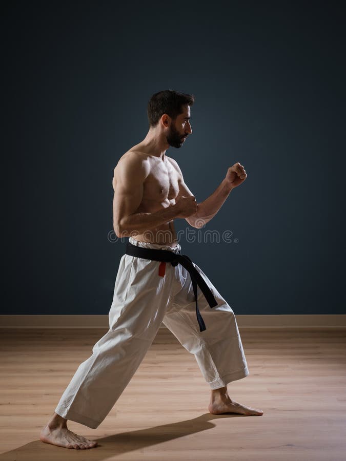 Karateka Sensei at work stock photo. Image of kamaete - 214179742