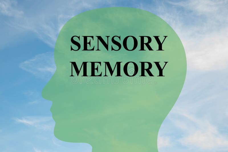 Sensorisch Geheugenconcept stock illustratie. Illustration of ...