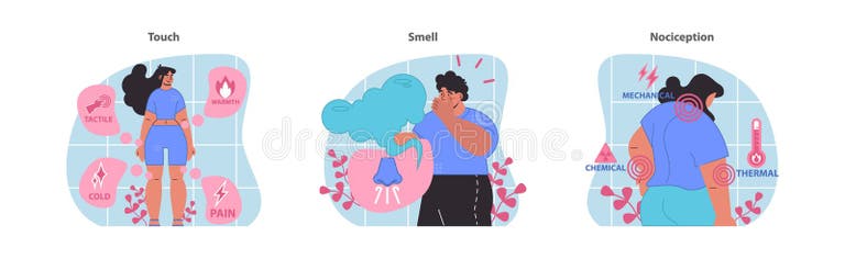 Sensory Experiences Set. Tactile Sensations, Olfactory Perceptions ...