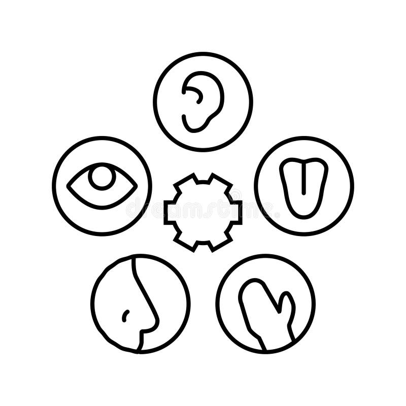 Sensory Integration Icon Stock Illustrations – 88 Sensory Integration ... Sensory Integration Icon Stock Illustrations – 88 Sensory Integration ...