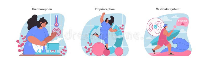 Sensory Systems Set. Depicting Thermoception, Proprioception. Stock ...