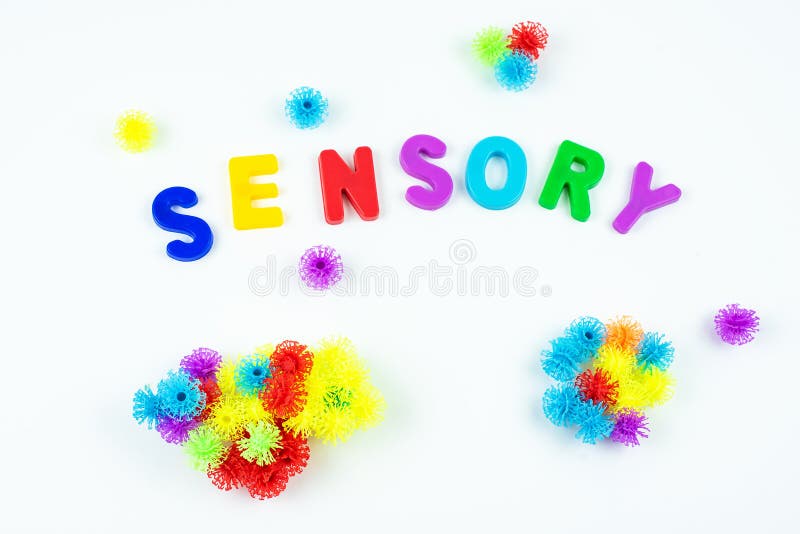 Sensory Word and Sensory Toy for Kid. Sensory Training, Fine Motor ...