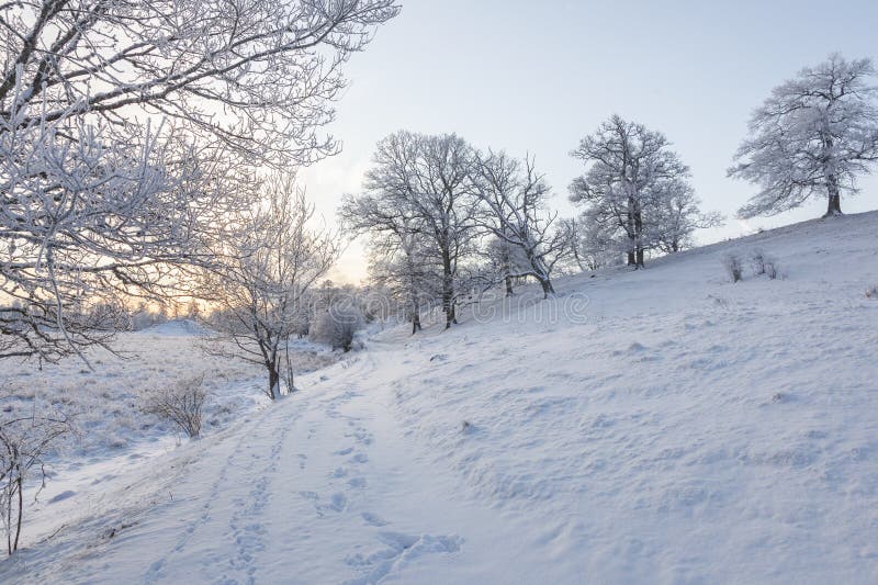 Chemin d'hiver image stock. Image du navigation, suède - 47919295