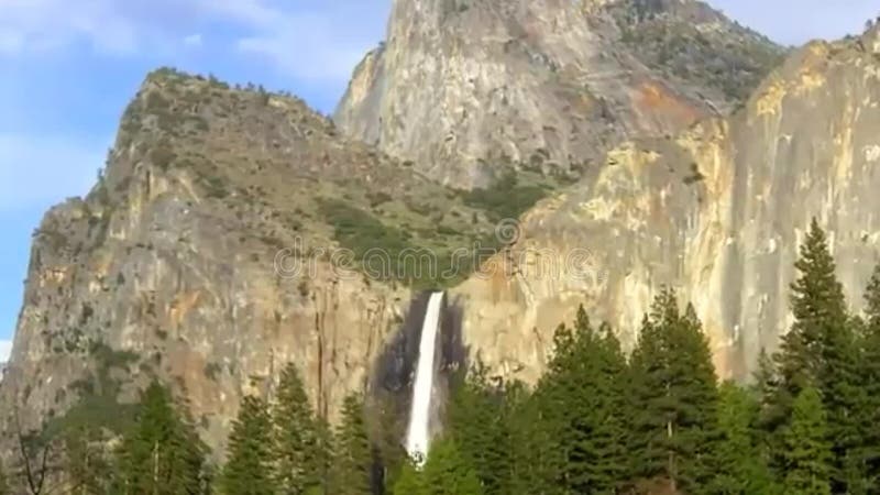 The Sentinel Tree in Sequoia National Park Stock Footage - Video of ...