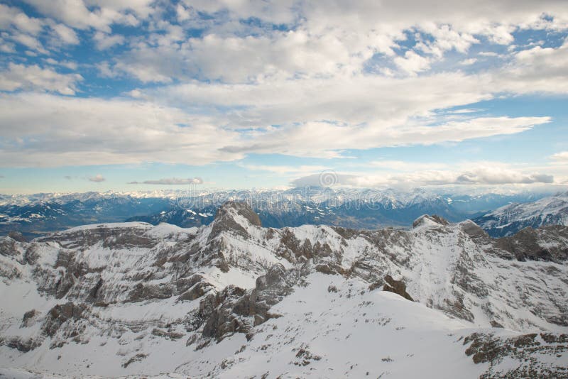 Sentis imagen de archivo. Imagen de delicado, recorrido - 36562487