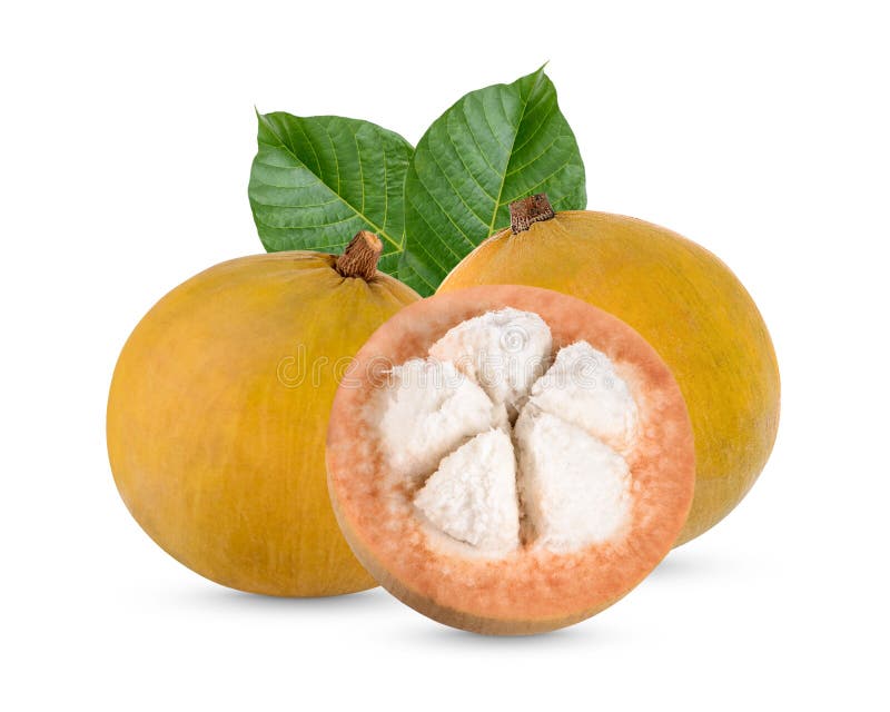 Sentol Fruit with Leaves Isolated on White Background Stock Photo ...