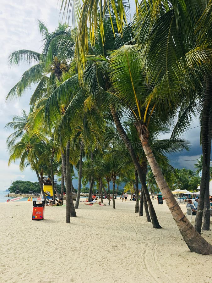 Sentosa island beach editorial image. Image of ocean - 161878970