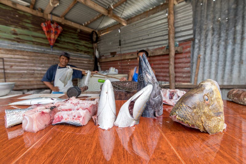 Sep 20, 2017 Fish Mart at Basco , Batanes Editorial Stock Photo - Image ...