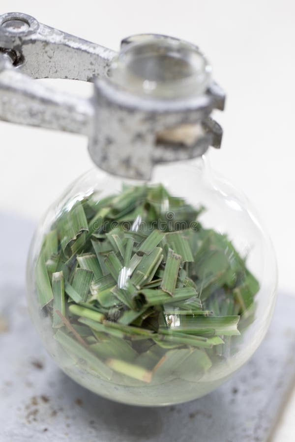 Separating by Filtration and Evaporation Condensation the Component ...