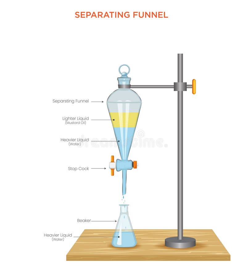 Separating Funnel A Tool For Liquid Separation Of Immiscible Liquids By Density Stock Vector