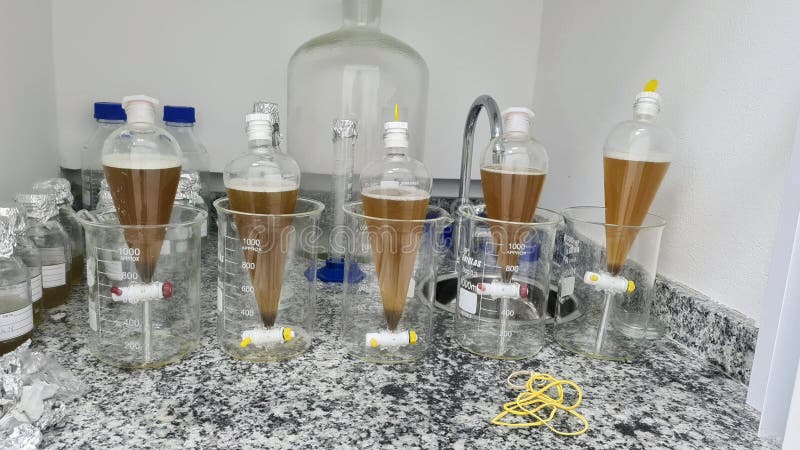 Separation Funnels with Biological Samples after Being Digested Waiting ...