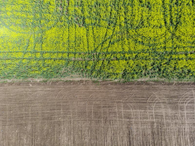 Separation between Land Fields. Border Line Stock Photo - Image of ...