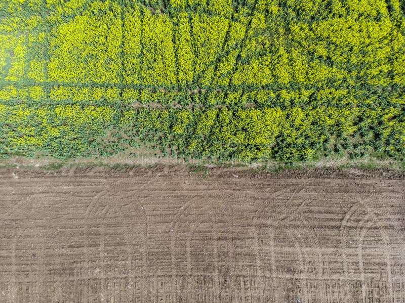 Separation between Land Fields. Border Line Stock Image - Image of ...