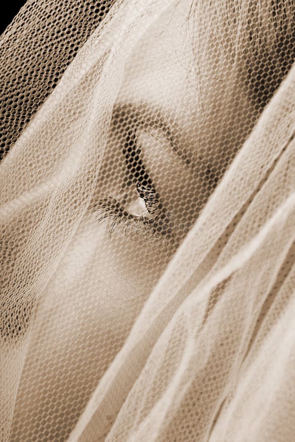 Sepia bride stock photo. Image of lashes, romance, ceremony - 1172634