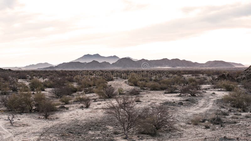 Sepia Desert Landscape with Mountains in the Background. Stock Photo ...
