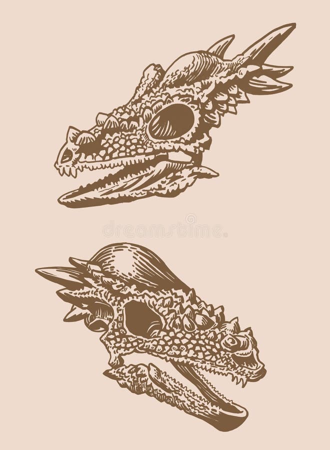 Sepia Set of Skulls of Dinosaurs, Vintage Illustration Stock Vector ...