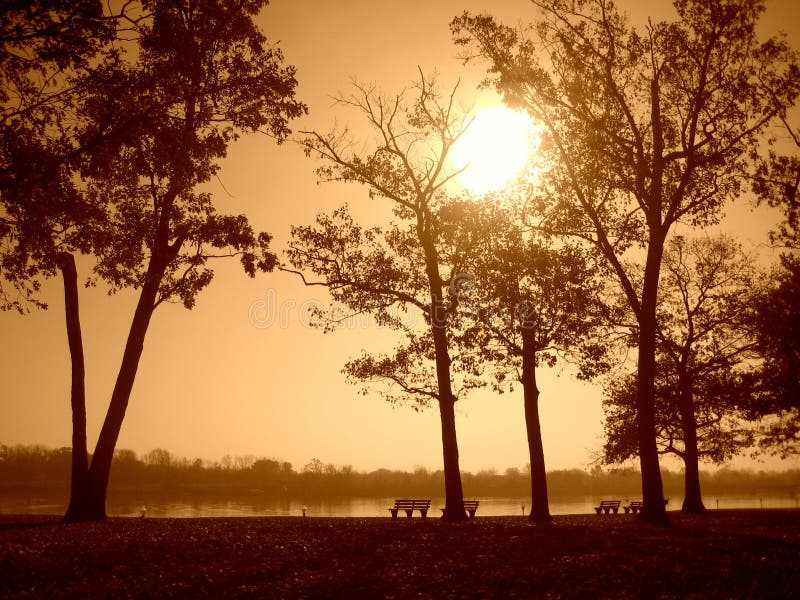 Sepia Sunset in the Park stock photo. Image of water - 16947636