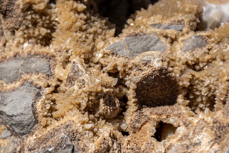 Close Textures and Crystals of a Septarian Stone Stock Photo - Image of ...