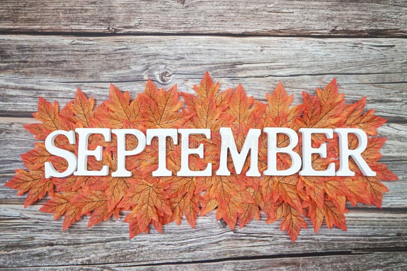 September Alphabet Letter with Maple Leaves Frame on Wooden Background ...