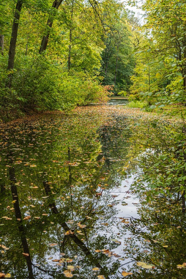September. Autumn Leaves Have Fallen in the Canal Stock Photo - Image ...