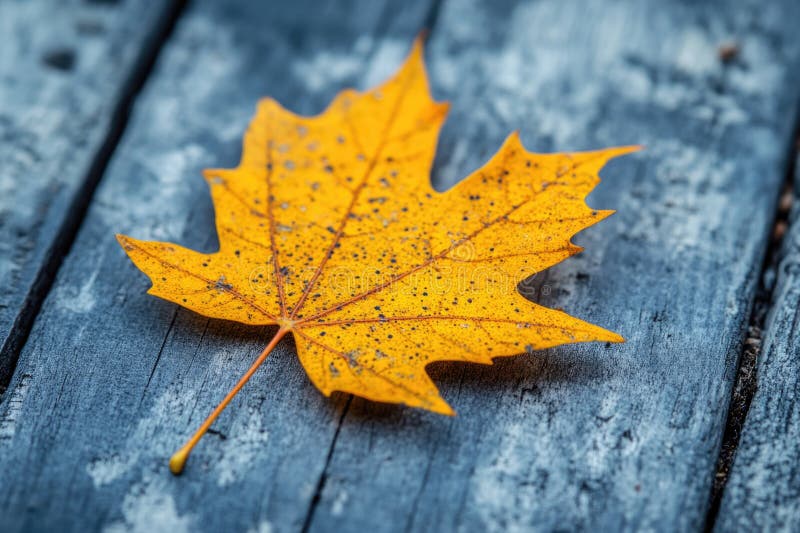 September 2024 Calendar: Elegant Maple Leaf Design on Rustic Wooden ...