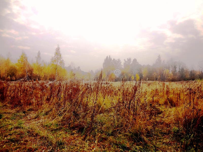 September Landscape Near the Forest Lake in the Autumn Day Stock Image ...