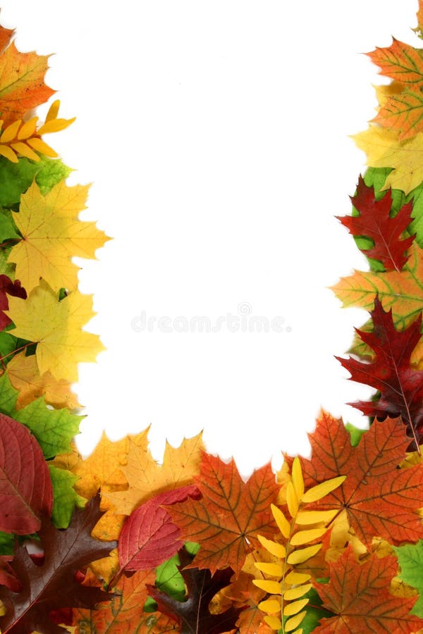 380+ Autumn leaves border frame Free Stock Photos - StockFreeImages