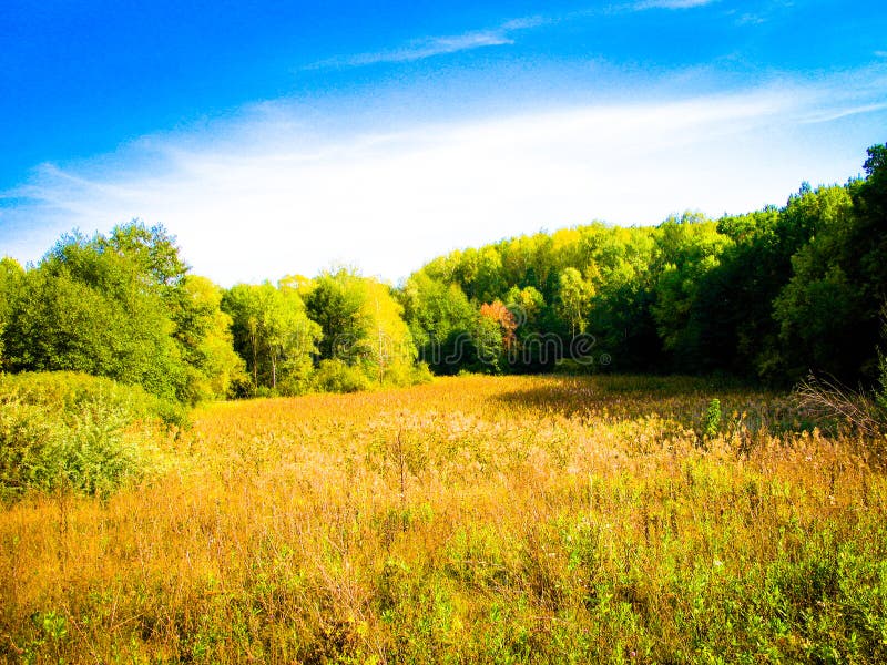 September forest and glade stock photo. Image of grove - 132670300