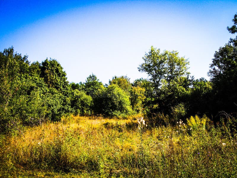September forest and glade stock photo. Image of meadow - 132850438