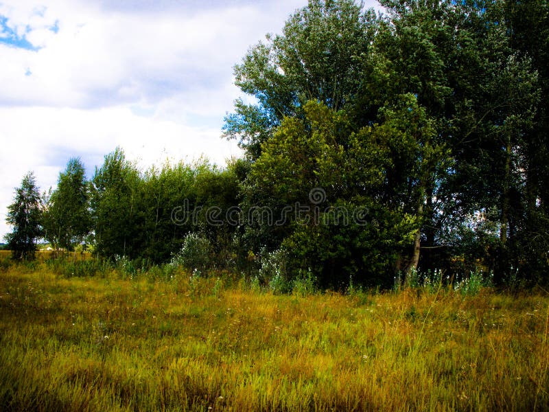 September forest and glade stock photo. Image of autumnal - 132850666