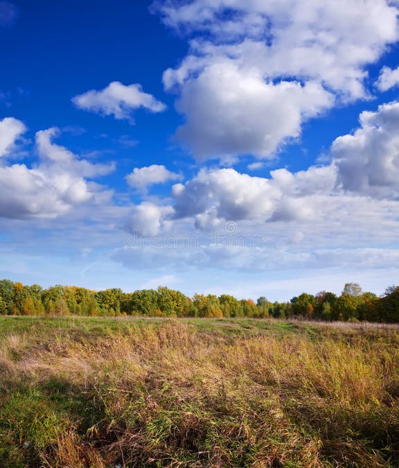 September Landscape with Meadow Stock Photo - Image of green, nature ...