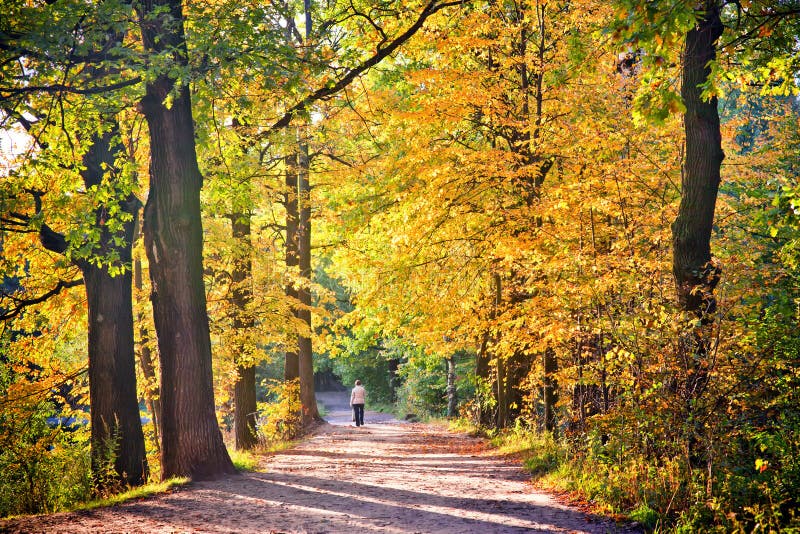 80,086 September Scenery Stock Photos - Free & Royalty-Free Stock ...