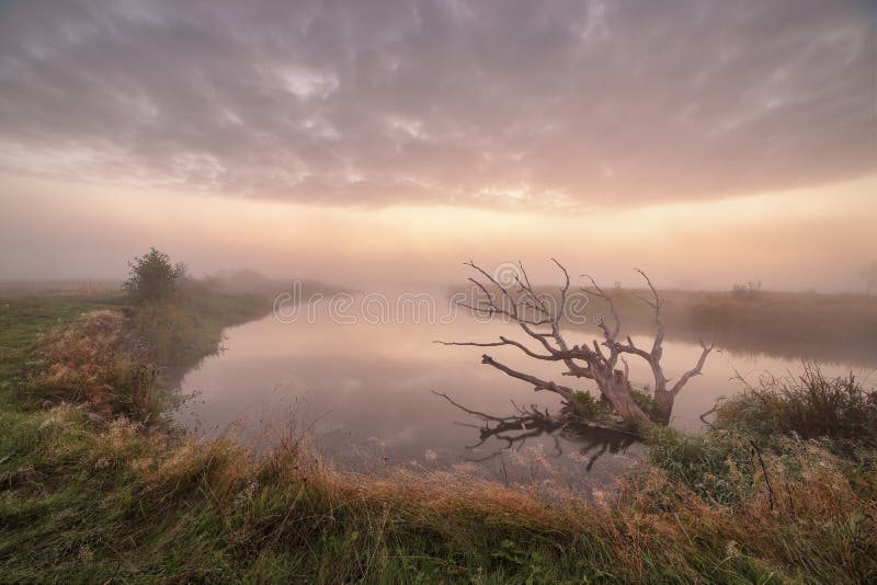 September on the River Neman Stock Photo - Image of green, rest: 58890190